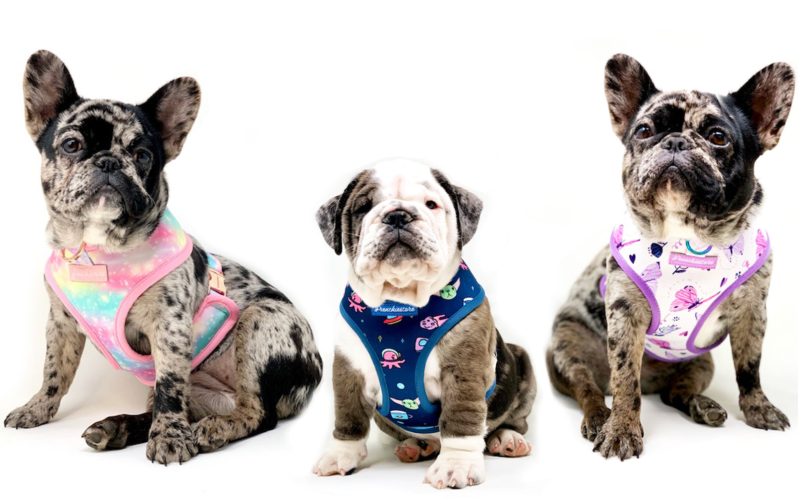 Frenchie pet products made for French Bulldogs sizing & health needs