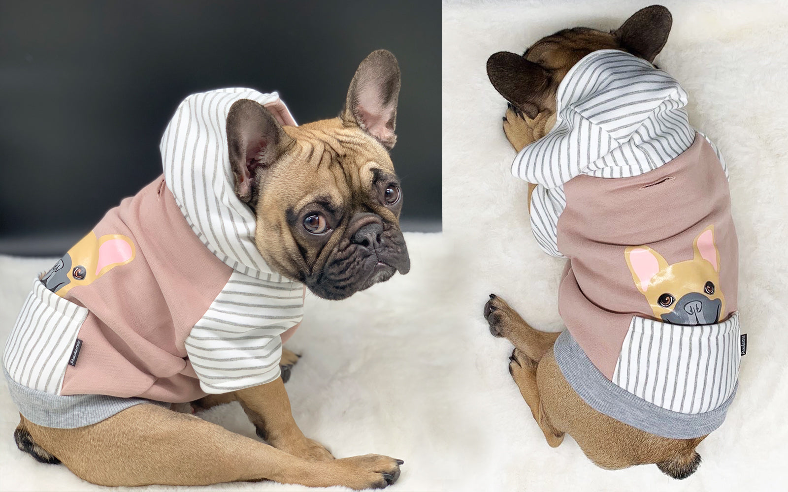 Frenchie pet products made for French Bulldogs sizing & health needs