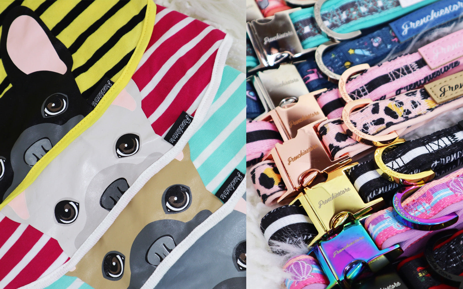 Frenchie pet products made for French Bulldogs sizing & health needs