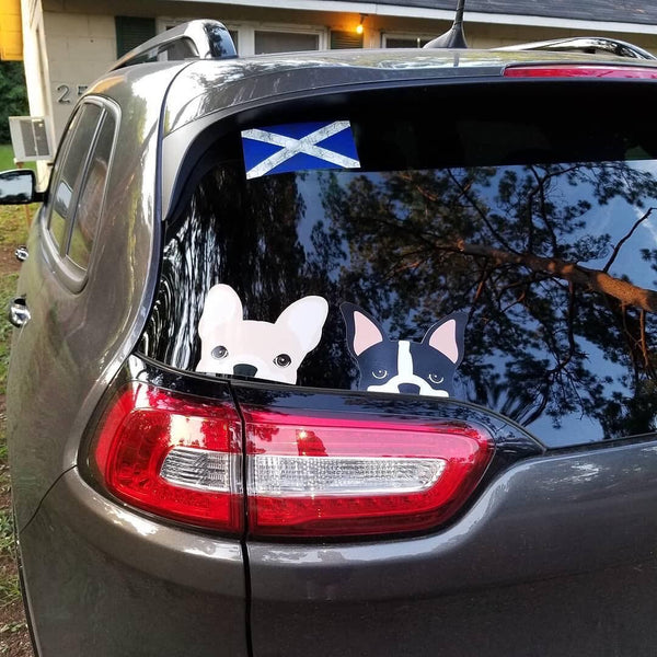 Frenchie Sticker | Frenchiestore | Cream French Bulldog Car Decal