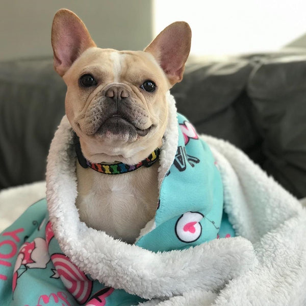 Frenchie Blanket | Frenchiestore | French Bulldog Love
