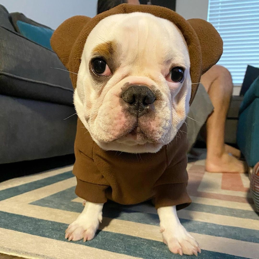 French Bulldog Hoodies - Shop Frenchiestore