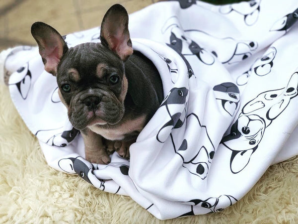 Frenchie Blanket | Frenchiestore | French Bulldogs on Black & White