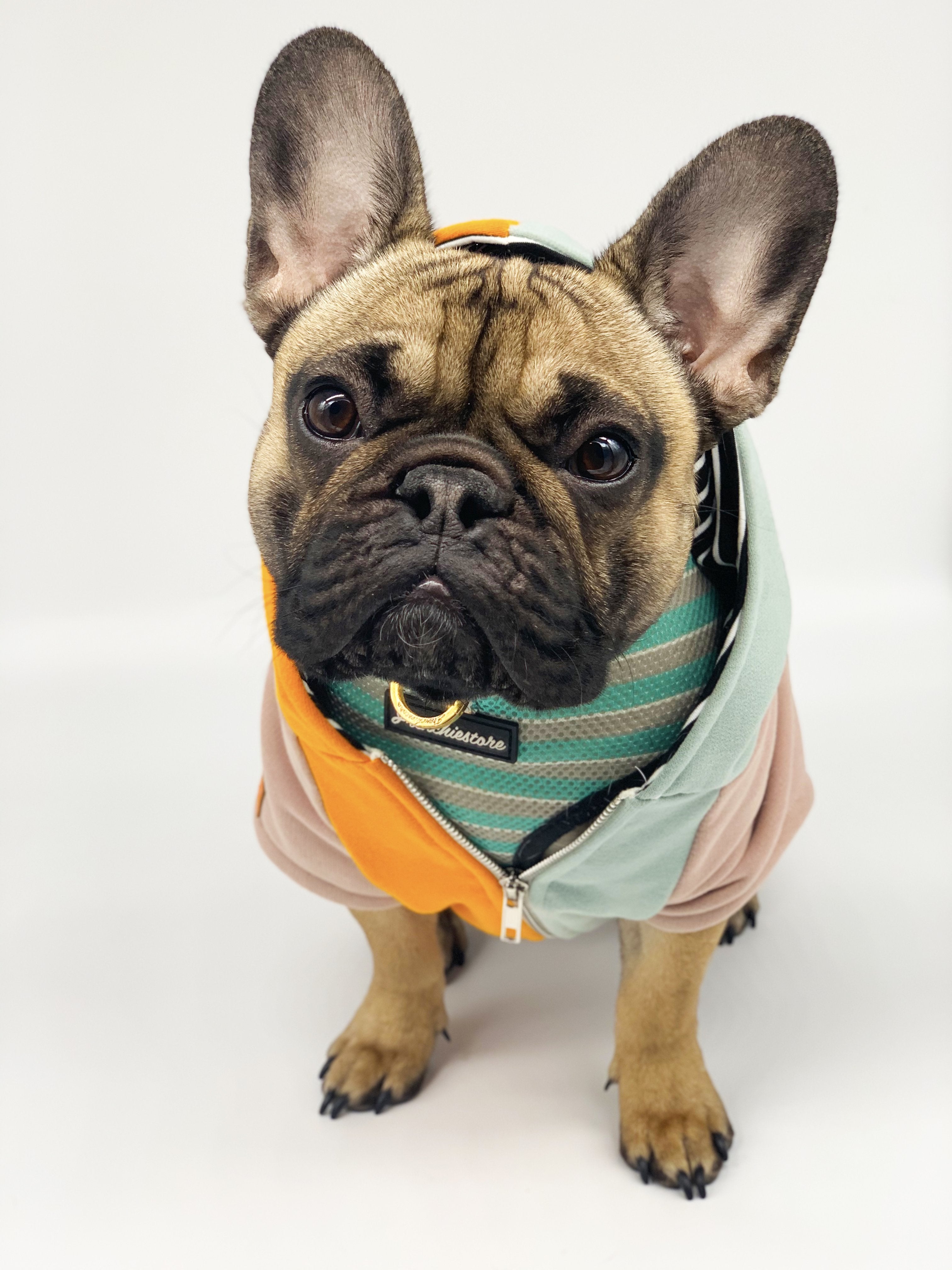 French Bulldog hoodie | Frenchie Clothing | Forest Sunrise